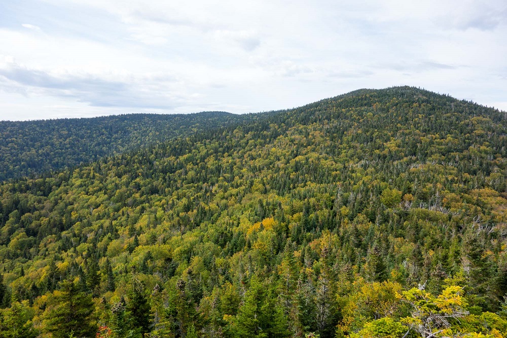 Day Hikes – Cohos Trail – New Hampshire